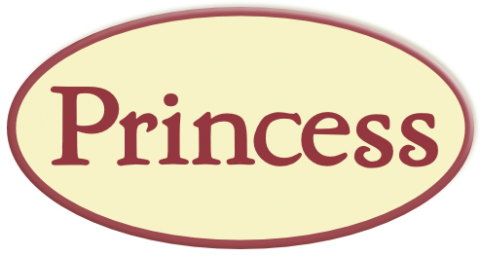 HOW TO USE THE PLEATER - PRINCESS PLEATERS